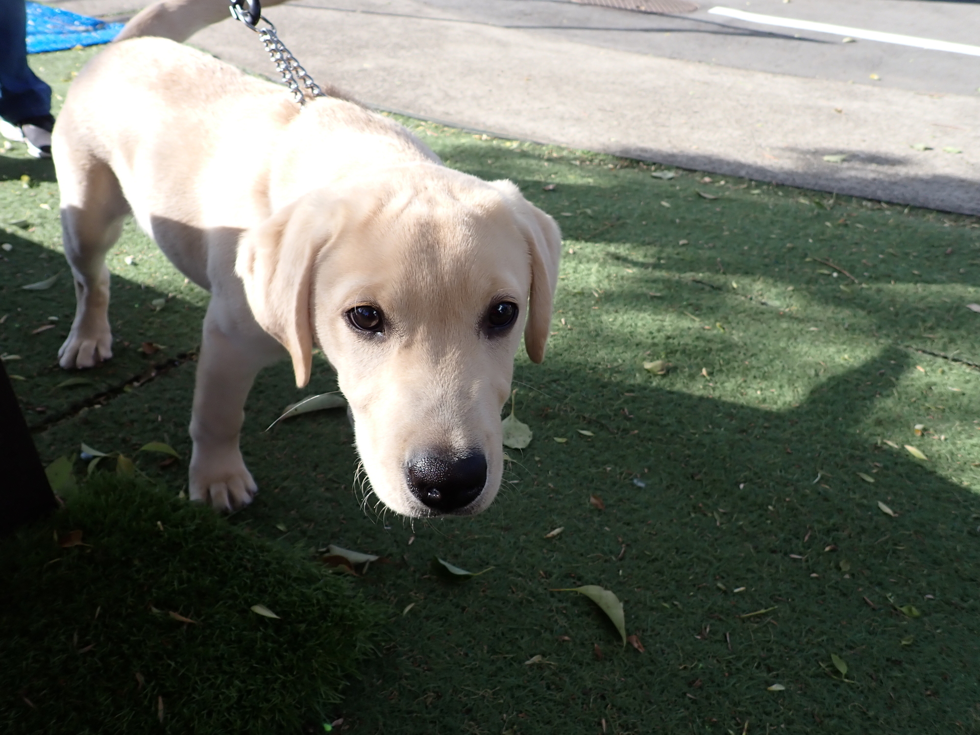 4/6（日）全国選抜ジュニア大会、出場決めた日: SEED TENNIS CLUB